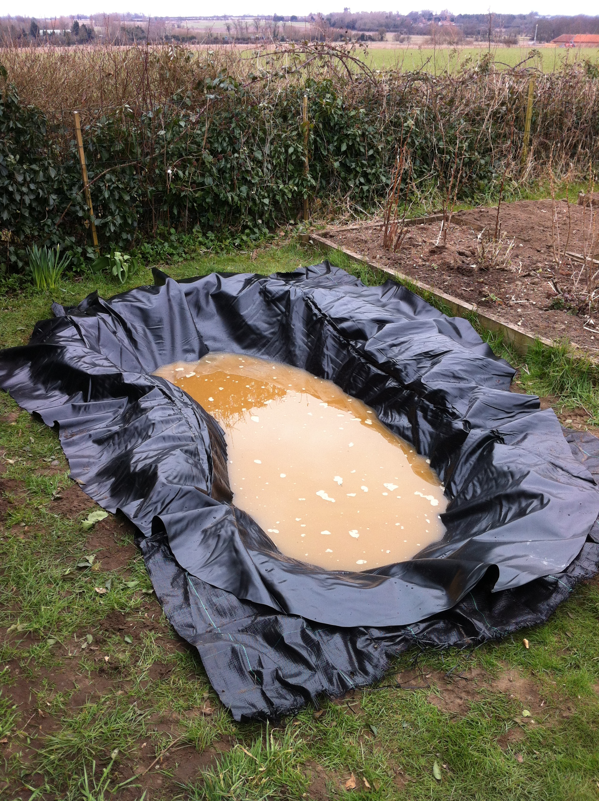 Making A Wildlife Pond