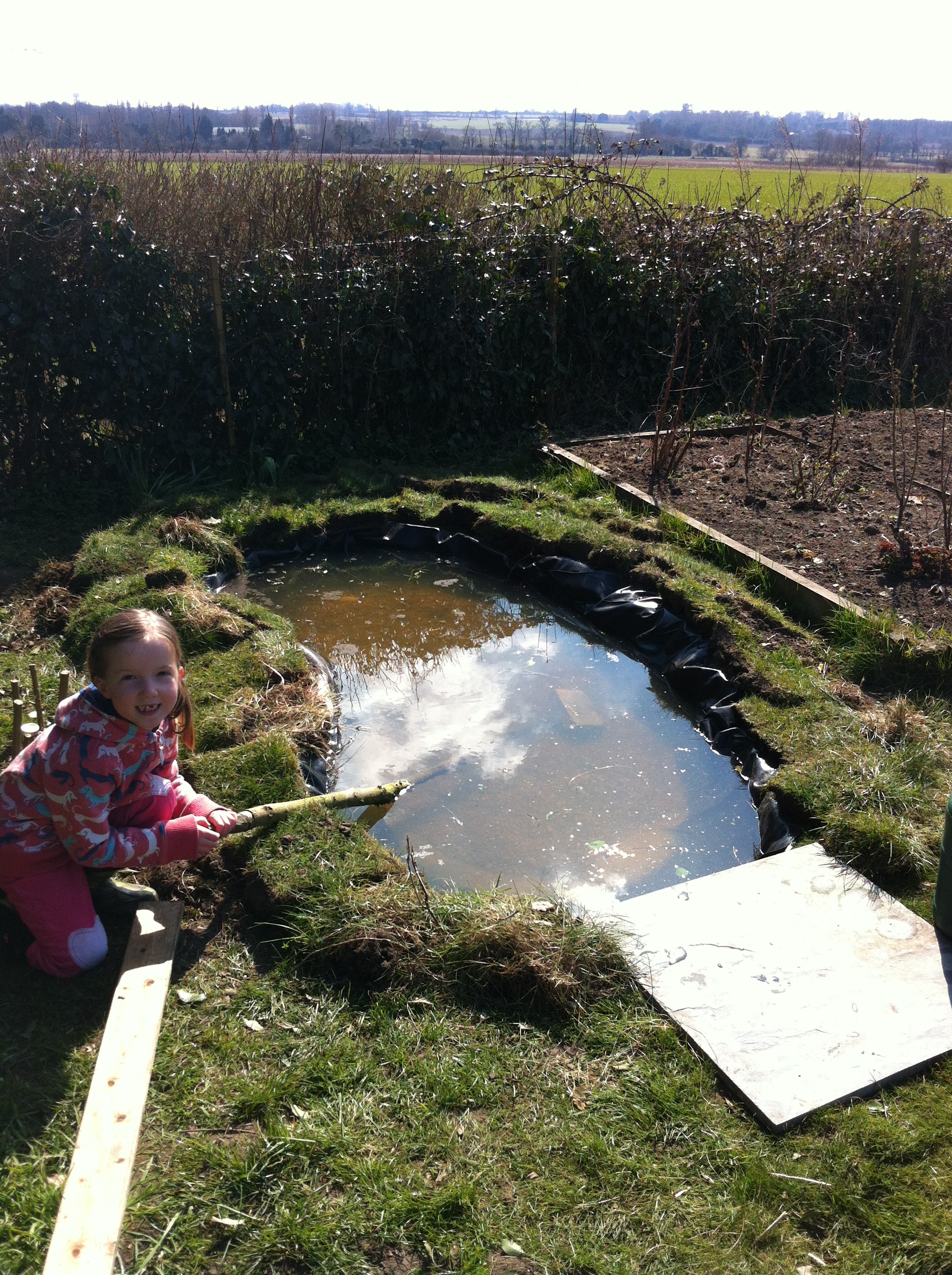 Making A Wildlife Pond
